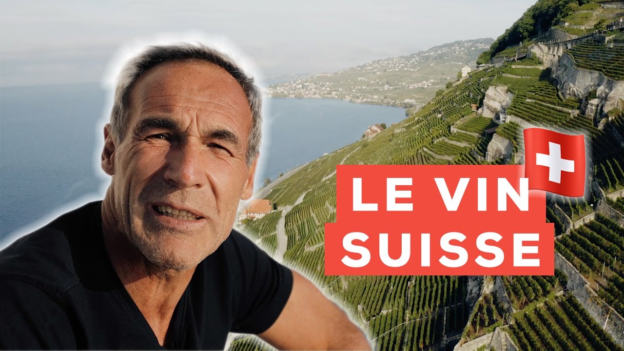 Les meilleurs vins suisses à déguster absolument - My Swiss